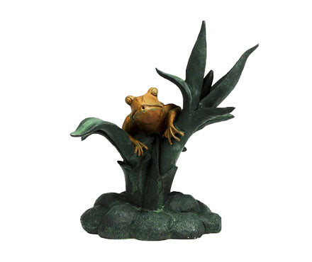 Spitters - Aquascape Canada